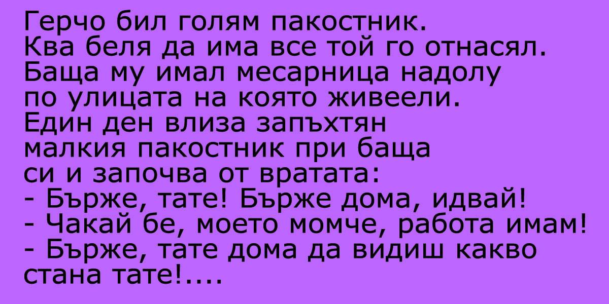 🔴Герчо виновен🔴